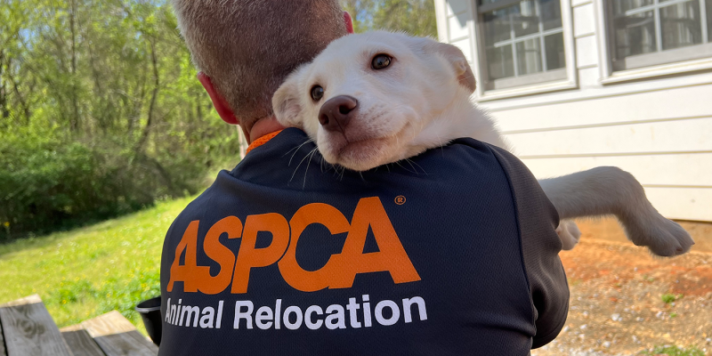 About us – Astraea Solutions